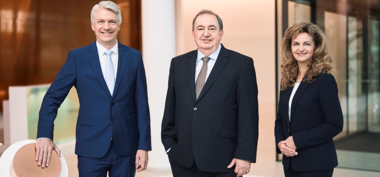 Konzernstruktur der LINZ AG