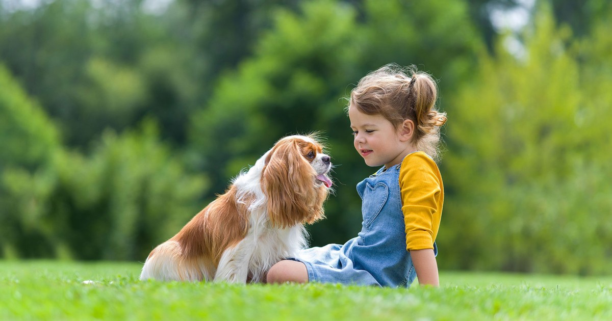 Strom von LINZ STROM Vertrieb